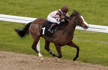 Horse Racing - 2 Jan 2016 Stock Pictures, Editorial Images and Stock ...