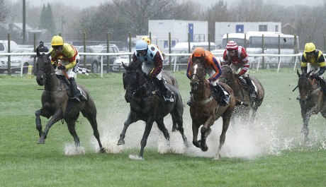 Horse Racing - 3 Jan 2016 Stock Pictures, Editorial Images and Stock ...