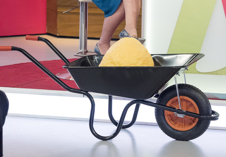 Wheelbarrow Filled Approx 4st Fat Which Editorial Stock Photo - Stock ...
