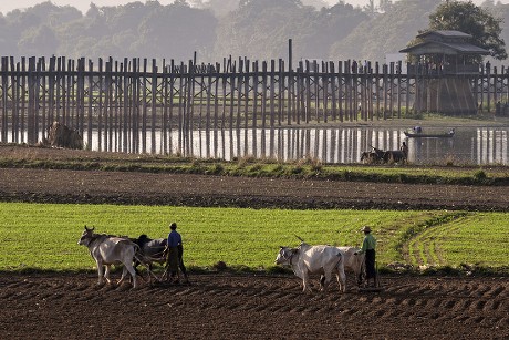 16 Pull plow Stock Pictures, Editorial Images and Stock Photos ...