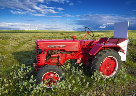 Red Vintage Tractor Farmall D217 Oldtimer Editorial Stock Photo - Stock ...
