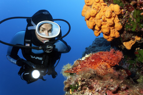 500 Wetsuit wet suit Stock Pictures, Editorial Images and Stock Photos ...