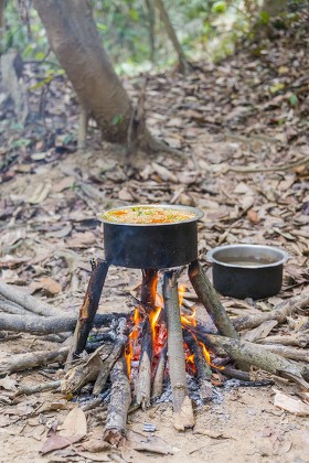 6 Jungle cook food Stock Pictures, Editorial Images and Stock Photos ...