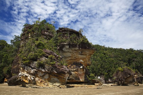 86 Bako national park Stock Pictures, Editorial Images and Stock Photos ...