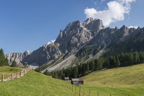 250 Croda Stock Pictures, Editorial Images and Stock Photos | Shutterstock