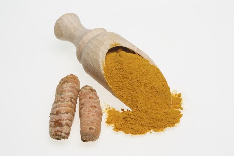 Turmeric Root Curcuma Domestica Ground Turmeric Editorial Stock Photo ...
