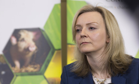 Rt Hon Liz Truss Defra Secretary Editorial Stock Photo - Stock Image ...