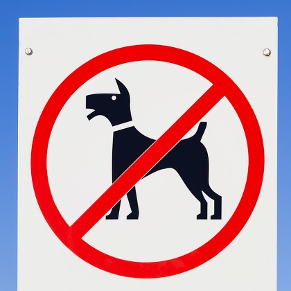 Sign Dogs Prohibited Editorial Stock Photo - Stock Image | Shutterstock