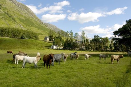 SCOTLAND, BRITAIN - 2005 Stock Pictures, Editorial Images and Stock ...