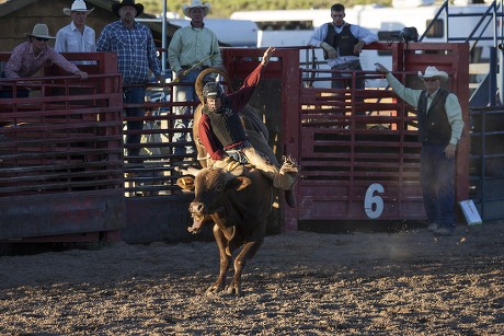 Bullrider Bryce Canyon Country Rodeo Bryce Editorial Stock Photo ...