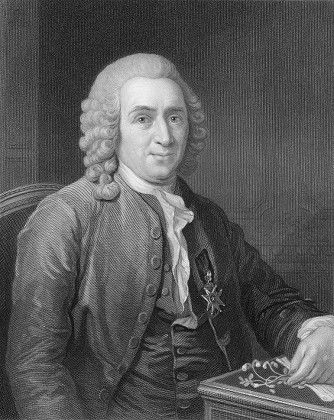 Carl Linnaeus Carl Von Linne 1707 Editorial Stock Photo - Stock Image ...