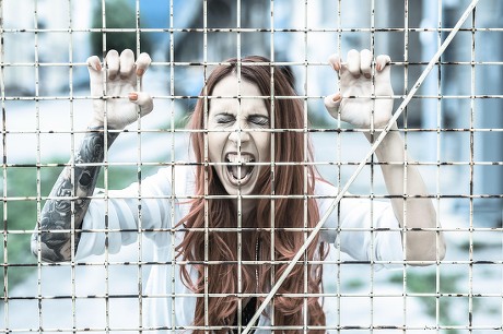 250 Direct aggression Stock Pictures, Editorial Images and Stock Photos ...