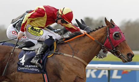 __COUNT__ imágenes de Horse Racing - 8 Jan 2016 - Imágenes de stock ...