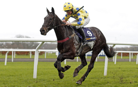 __COUNT__ Horse Racing - 9 Jan 2016 Stock Pictures, Editorial Images ...