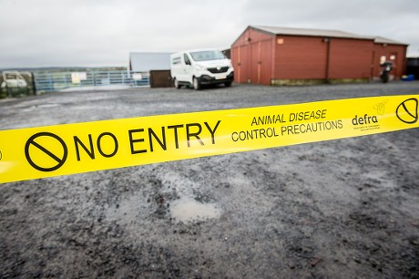 Premises Being Taped Off Editorial Stock Photo - Stock Image | Shutterstock