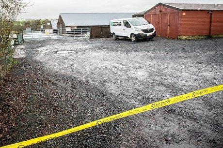 Suspected bird flu outbreak at Craigie Farm in Townhill, Dunfermline ...