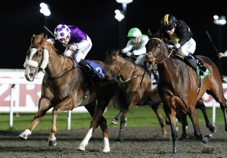 59 Intransigent Stock Pictures, Editorial Images and Stock Photos ...