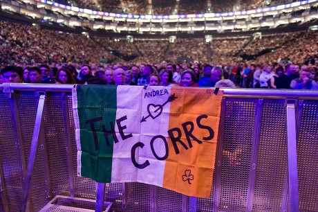 Fans Irish Flag Banner Editorial Stock Photo - Stock Image | Shutterstock