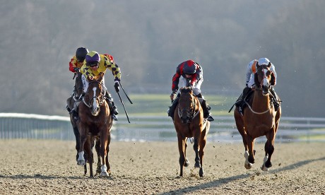 Kadrizzi Left Robert Winston Beats Kingsley Editorial Stock Photo ...