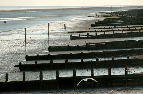 Sea Defence Groins On Beach Low Editorial Stock Photo - Stock Image ...