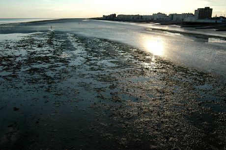 Sea Defence Groin On Beach Low Editorial Stock Photo - Stock Image ...