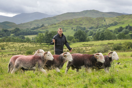 James Rebanks Author Shepherd His Border Editorial Stock Photo - Stock ...