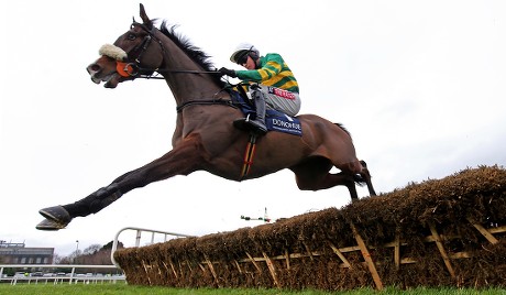 Leopardstown Racing, Leopardstown Racecourse, Dublin - 24 Jan 2016 ...