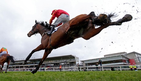 Leopardstown Racing, Leopardstown Racecourse, Dublin - 24 Jan 2016 ...