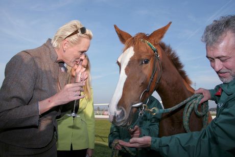 件の「MAGNA RACINO HORSE RACING, VIENNA, AUSTRIA - 23 OCT 2005」の画像素材 ...
