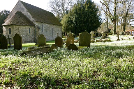 18 imágenes de Snowdrop Festival at St. Botolph's Church, Swyncombe ...