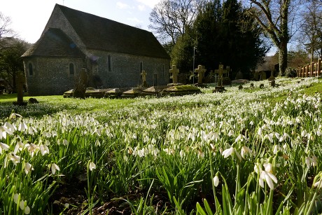 Snowdrop Festival at St. Botolph's Church, Swyncombe, Oxfordshire ...