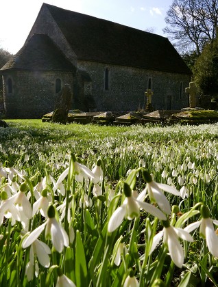 __COUNT__ Snowdrop Festival at St. Botolph's Church, Swyncombe ...