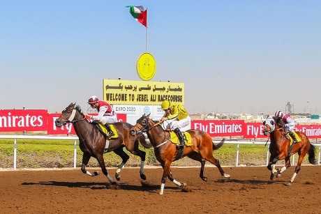 Horse Racing from Jebel Ali, Dubai, United Arab Emirates - 05 Feb 2016 ...