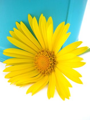 33 VARIOUS Stockbilder, redaktionelle Bilder und Stockfotos | Shutterstock