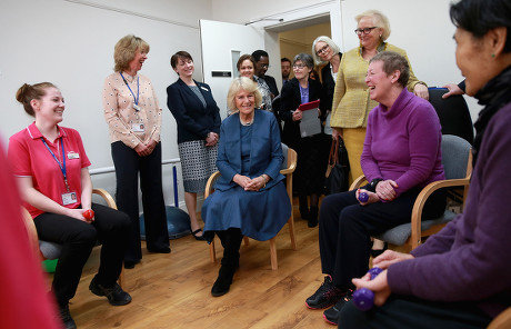 Camilla Duchess Cornwall Patron Royal Trinity Editorial Stock Photo ...