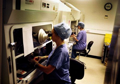 Egg Retrieval Ivf Clinic Editorial Stock Photo - Stock Image | Shutterstock