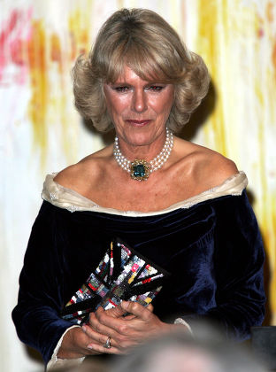Camilla Duchess Cornwall Editorial Stock Photo - Stock Image | Shutterstock