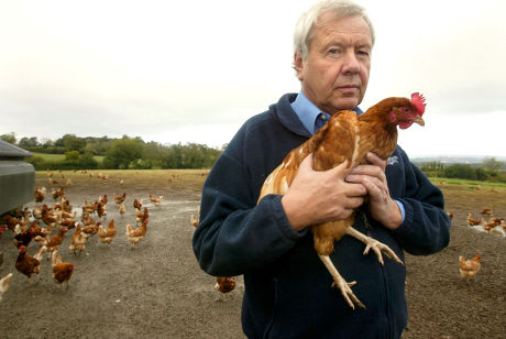 Farmer Tim Wood On His Black Editorial Stock Photo - Stock Image ...