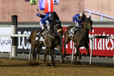 Dubai Meydan World Cup Carnival Maftool Editorial Stock Photo - Stock ...