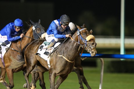 Dubai Meydan World Cup Carnival Maftool Editorial Stock Photo - Stock ...