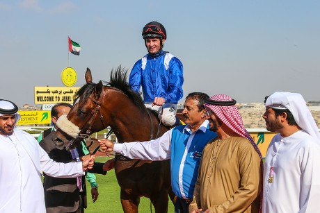 Horse Racing from Jebel Ali, Dubai, United Arab Emirates - 19 Feb 2016 ...