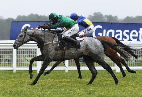 Vyta Du Roc Daryl Jacob Win Editorial Stock Photo - Stock Image ...