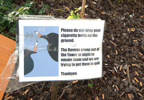 Warning Sign Cigarette Ends Outside Tower Editorial Stock Photo - Stock ...