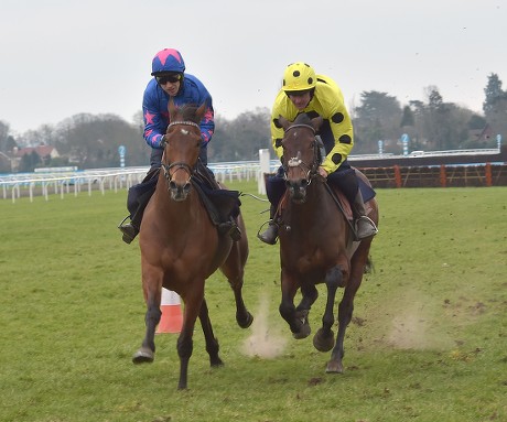 L Cue Card Paddy Brennan R Editorial Stock Photo - Stock Image ...