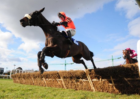Leopardstown Jett Robbie Power Jump Last Editorial Stock Photo - Stock ...