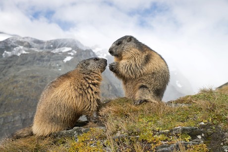 74 Closeness to nature Stock Pictures, Editorial Images and Stock ...