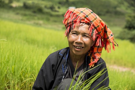 250 Shan tribe people Stock Pictures, Editorial Images and Stock Photos ...