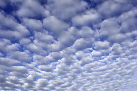250 Cotton wool cloud Stock Pictures, Editorial Images and Stock Photos ...