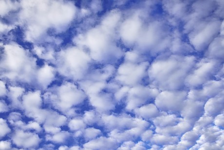 250 Cotton wool cloud Stock Pictures, Editorial Images and Stock Photos ...