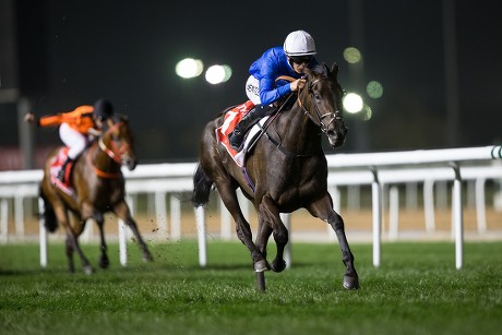 Horse Racing - 3 Mar 2016 Stock Pictures, Editorial Images and Stock ...